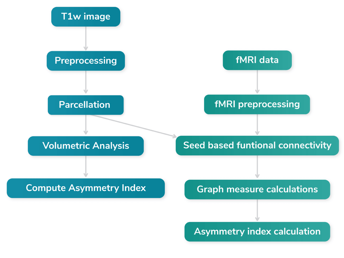 Decoding the Brain's Balance: A Novel Workflow to Quantify Asymmetry in MRI